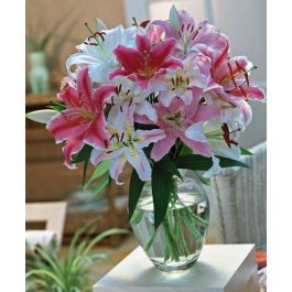 The Fragrant Oriental Lily Mixture
