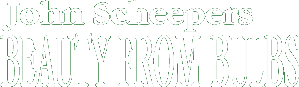 John Scheepers Inc.